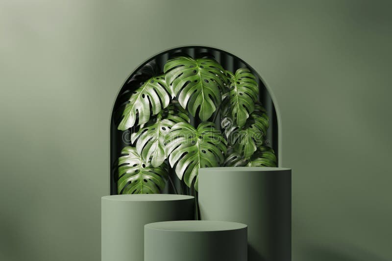 3D Rendering Green Platform Podium with Monstera Plant Product ...