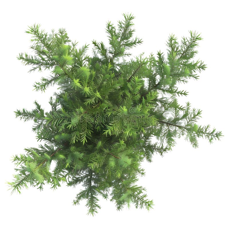 3D Rendering of a Green Tree on Transparent Background - Ai Generated ...