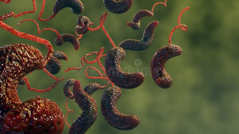 A 3D Rendering of a Group of Campylobacter Stock Illustration ...