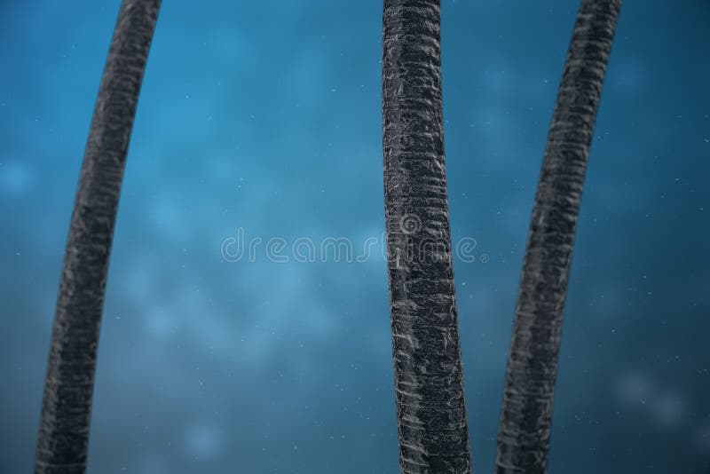 3D Rendering Hair Care. Treatment and Care of Hair. Hair Under ...