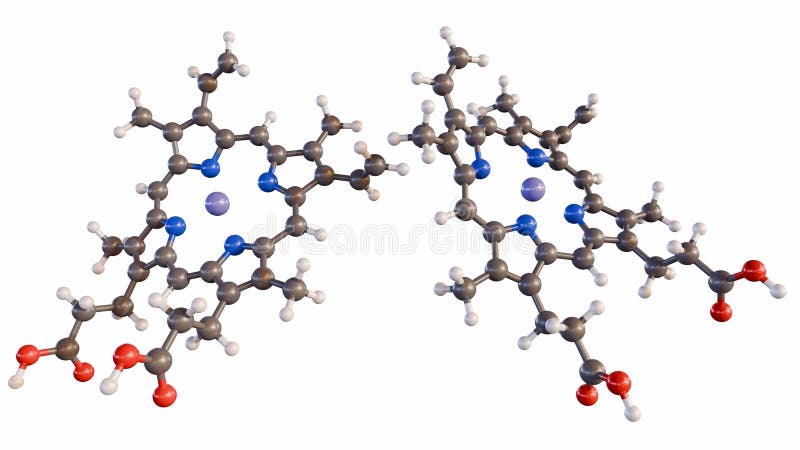 3d Rendering of Heme Molecule in the White Background. Stock ...