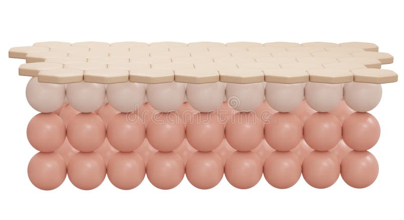 3d Rendering of Hexagon Pattern Closeup of Clean Perfect Skin Cell ...