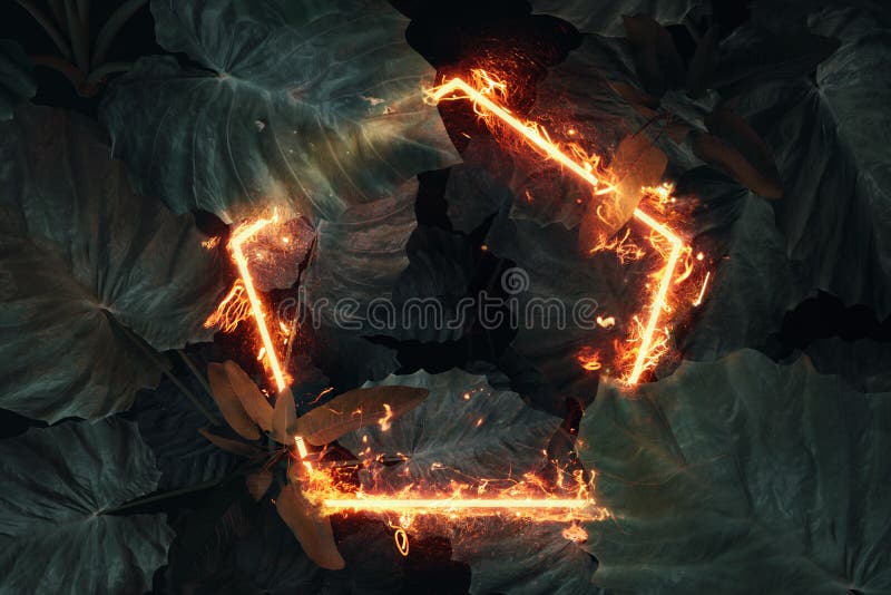 3d Rendering of Hexagon Shape in Fire Over Tropical Plants. Flat Lay of ...