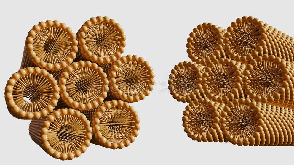 3d Rendering of Hexagonal Lipid Phase Isolated on the Background Stock ...