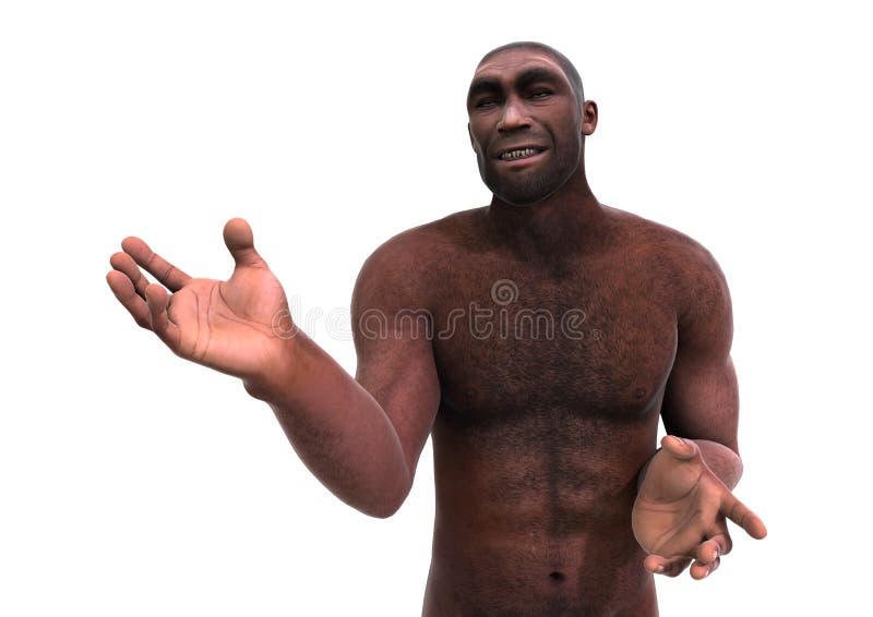 Erectus male - 3D render stock illustration. Illustration of origin ...
