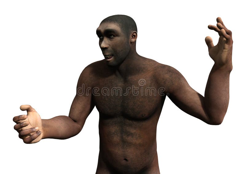 Erectus Male stock illustration. Illustration of potent - 61038398