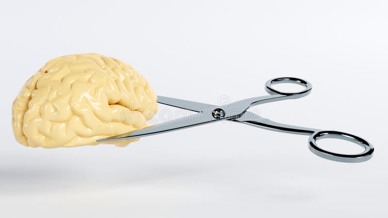 Brain Cut Connection Stock Illustrations – 264 Brain Cut Connection ...