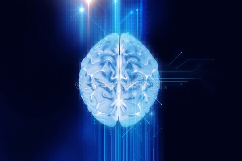 3d Rendering of Human Brain on Technology Background Stock Illustration ...