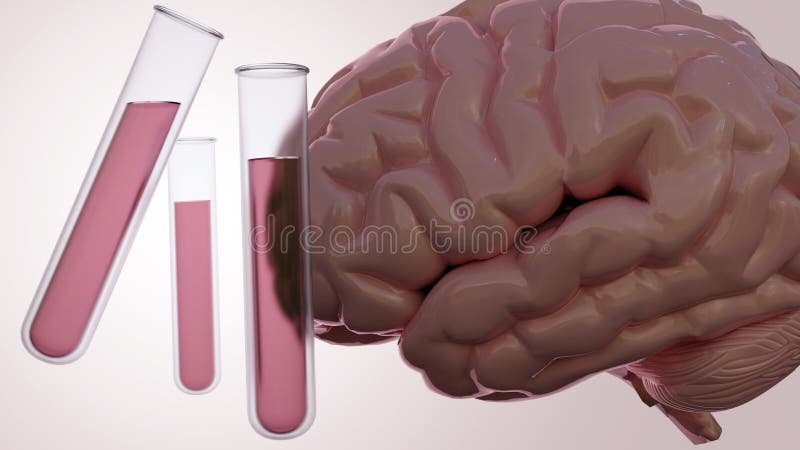 3d Rendering of a Human Brain and Test Tube Stock Photo - Image of ...