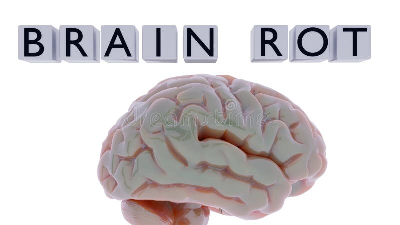 A Human Brain and Words "BRAIN ROT" Stock Illustration - Illustration ...