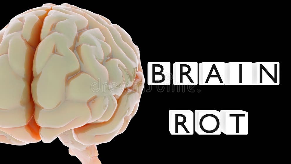 A Human Brain and Words "BRAIN ROT" Stock Illustration - Illustration ...