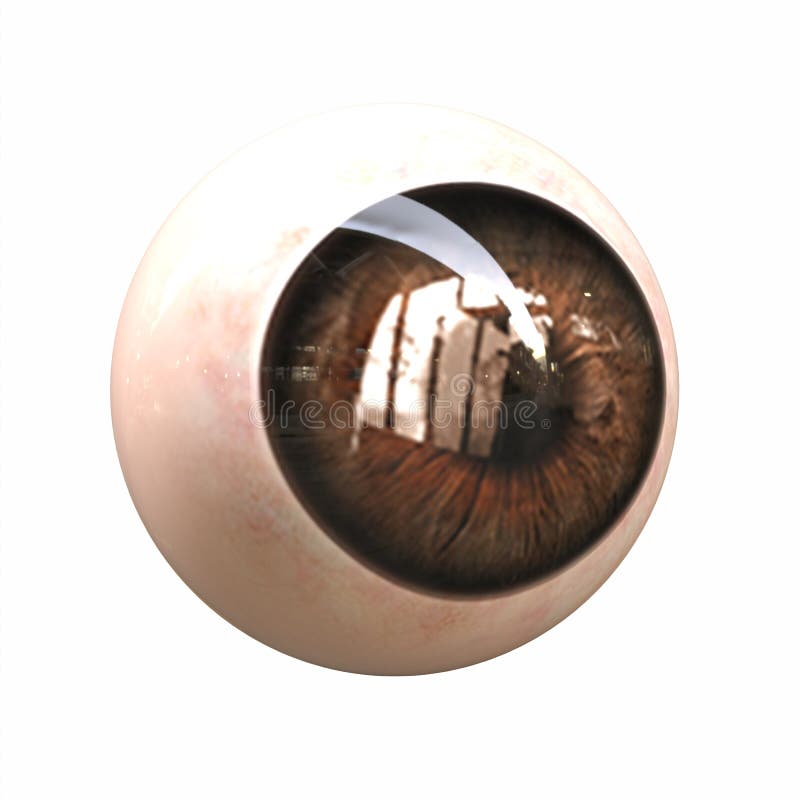 3d Rendering of Human Eye Design Ready Stock Illustration ...