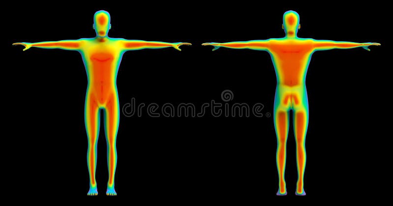 3d Rendering. Human Front And Back Body Scan By Infrared Ray Structure ...