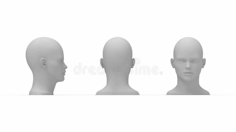 3D Rendering of Human Head Turning Multiple Views Side Front Back Stock ...