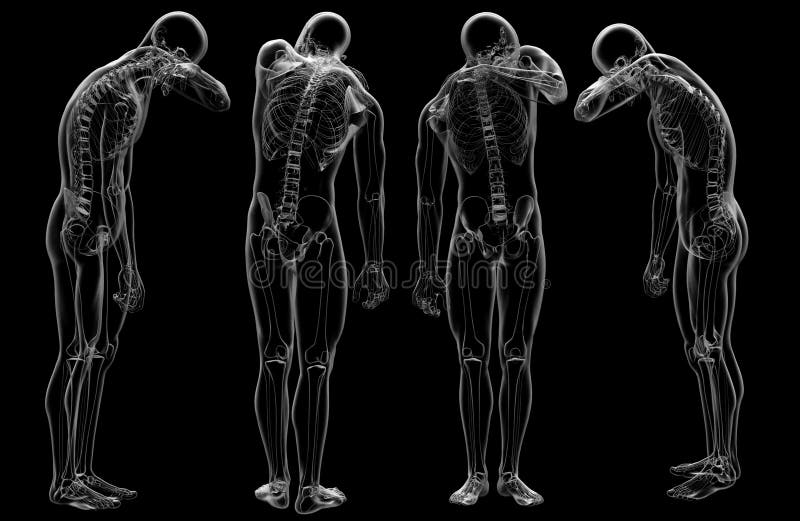 3d rendering of human stock illustration. Illustration of science ...