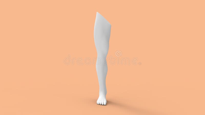 3d Rendering of a Human Leg Isolated in Studio Background Stock ...