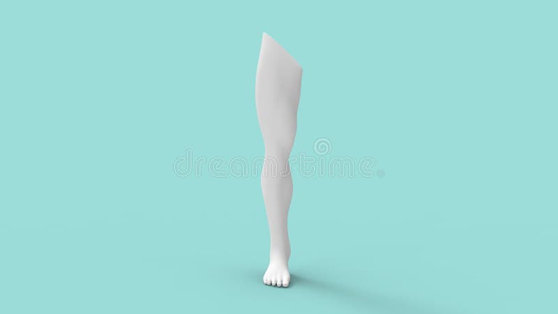 3d Rendering of a Human Leg Isolated in Studio Background Stock ...