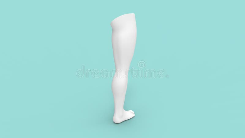 3d Rendering of a Human Leg Isolated in Studio Background Stock ...