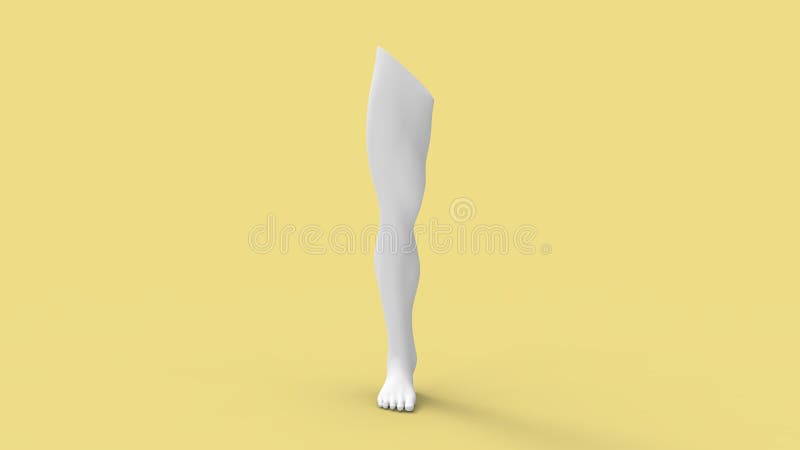 3d Rendering of a Human Leg Isolated in Studio Background Stock ...