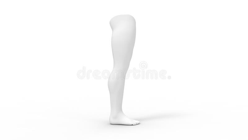 3d Rendering of a Human Leg Isolated in Studio Background Stock ...