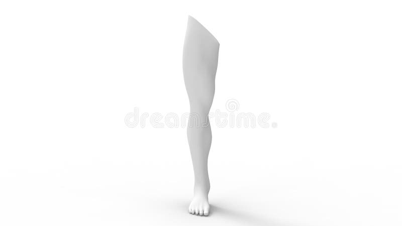 3d Rendering of a Human Leg Isolated in Studio Background Stock ...