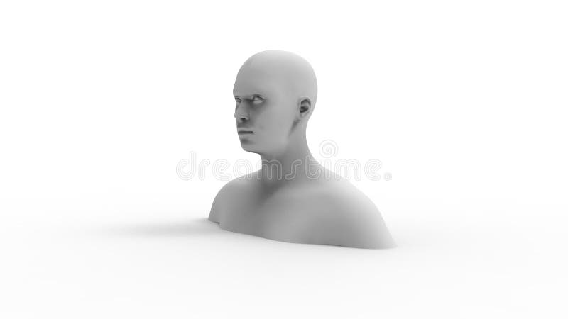 3d Rendering of a Human Model Isolated in White Background Stock ...