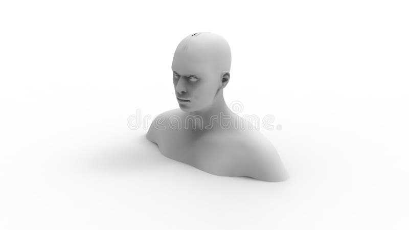 3d Rendering of a Human Model Isolated in White Background Stock ...