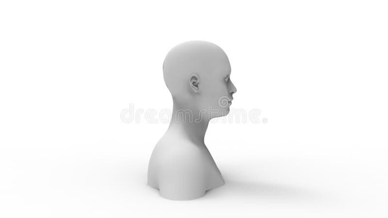 3d Rendering of a Human Model Isolated in White Background Stock ...