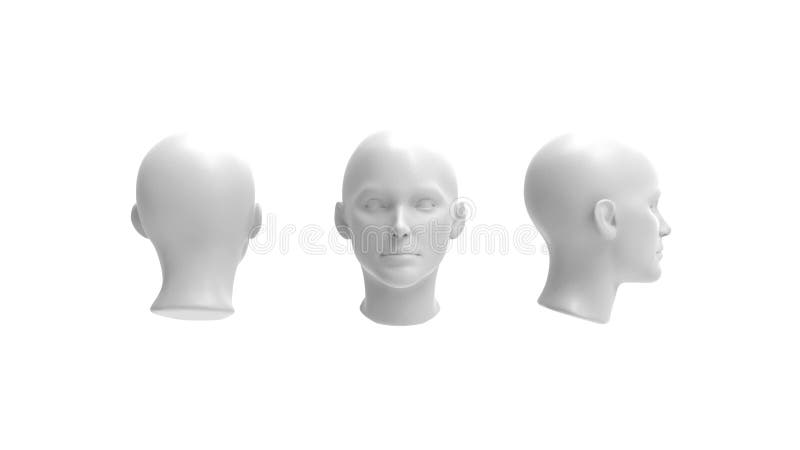 3d Rendering of a Human Model Isolated in White Background Stock ...