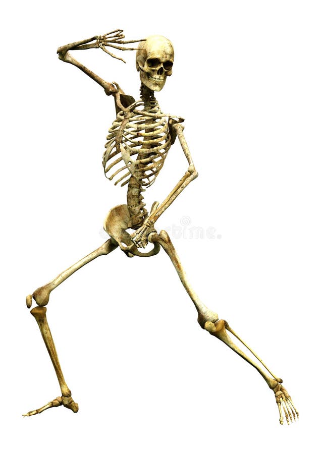 286 Skeleton White Background 3d Stock Photos - Free & Royalty-Free ...