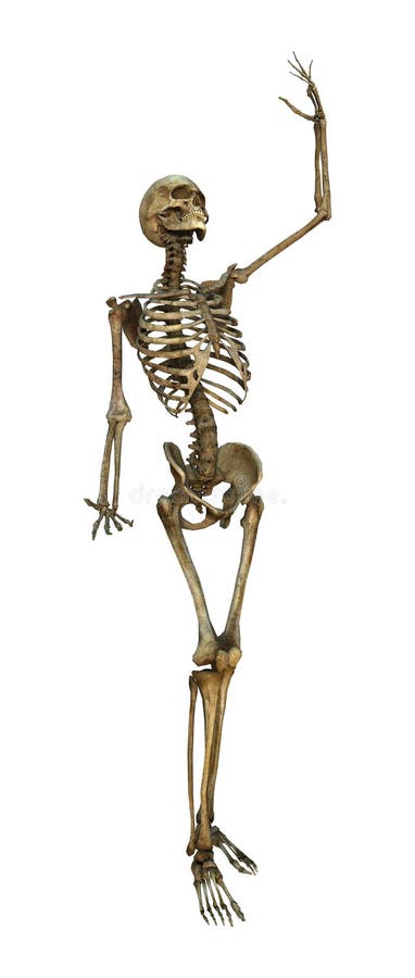 Background Skeleton White Stock Illustrations – 43,364 Background ...