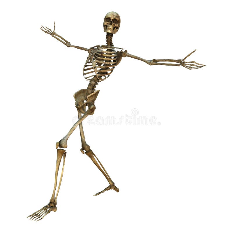 Background Skeleton White Stock Illustrations – 43,364 Background ...