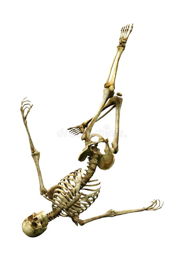 Falling Skeleton Stock Illustrations – 173 Falling Skeleton Stock ...