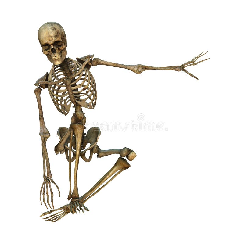 286 Skeleton White Background 3d Stock Photos - Free & Royalty-Free ...
