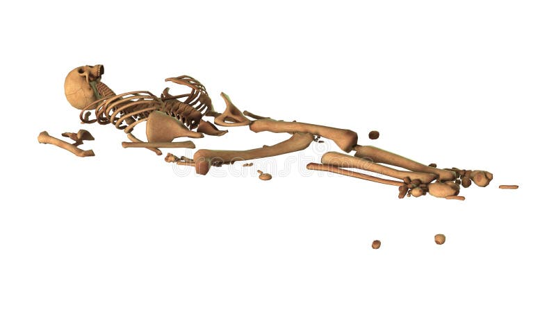 Large pile of human bones stock illustration. Illustration of murdered ...