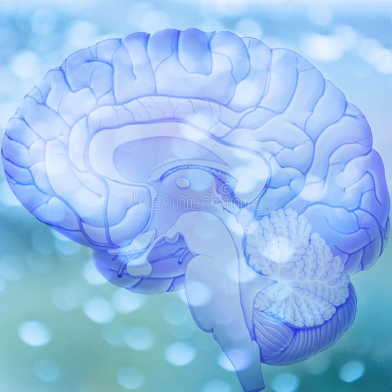 3D Rendering. Illustration, Graphic Brighty Brain with Light Elements ...