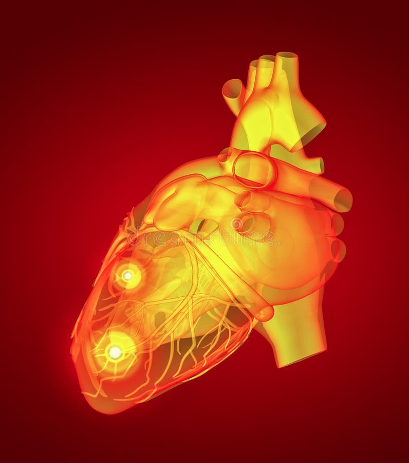 3D Rendering Illustration of Heart Stock Illustration - Illustration of ...