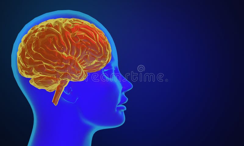 3d Rendering Illustration of Human Brain, Healthcare of Neuron Cell ...