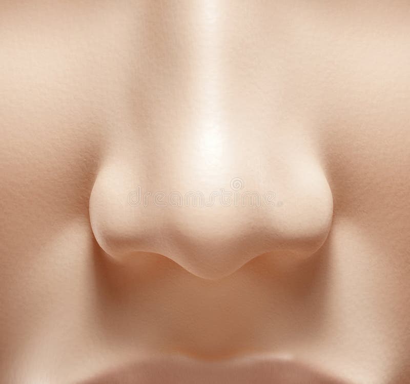 Human Nose Close Up