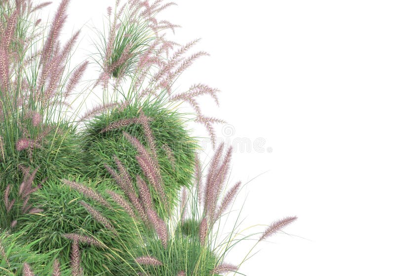 Beach Grass Stock Illustrations – 23,458 Beach Grass Stock ...