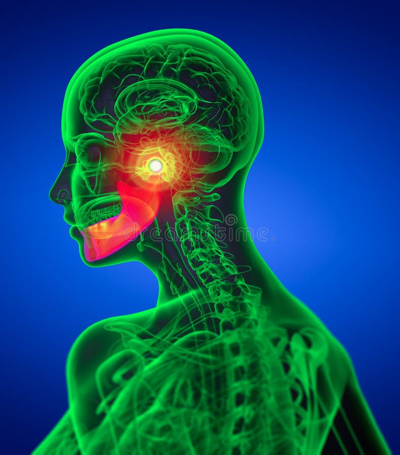 3d Rendered Illustration - Jaw Bone Stock Illustration - Illustration ...