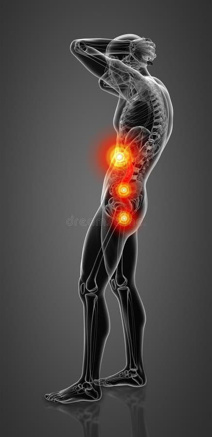 3D Rendering Illustration of Large Intestine Stock Illustration ...