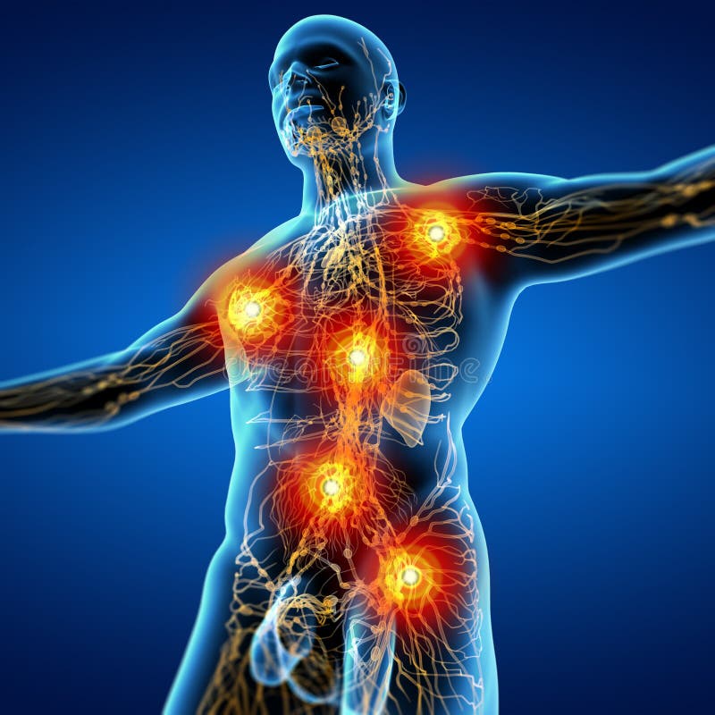 3d Rendering of Yellow Lymphatic System Stock Illustration ...