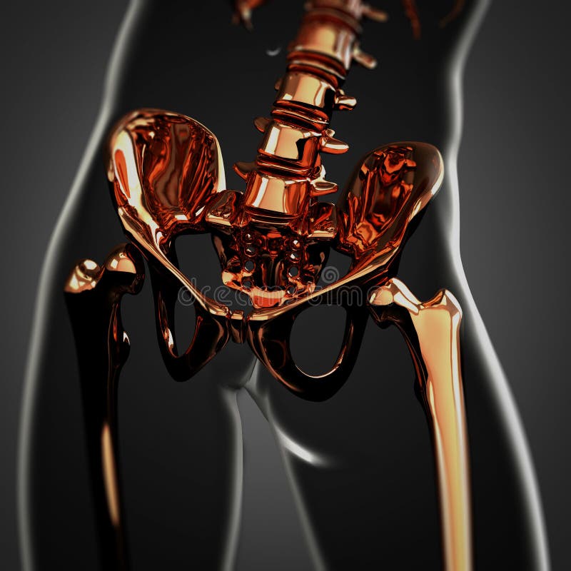 3D Rendering Illustration of Skeleton Bone Stock Illustration ...