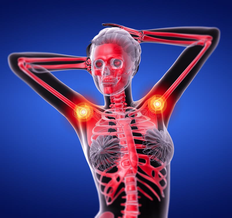 3D Rendering Illustration of Skeleton Human Stock Illustration ...