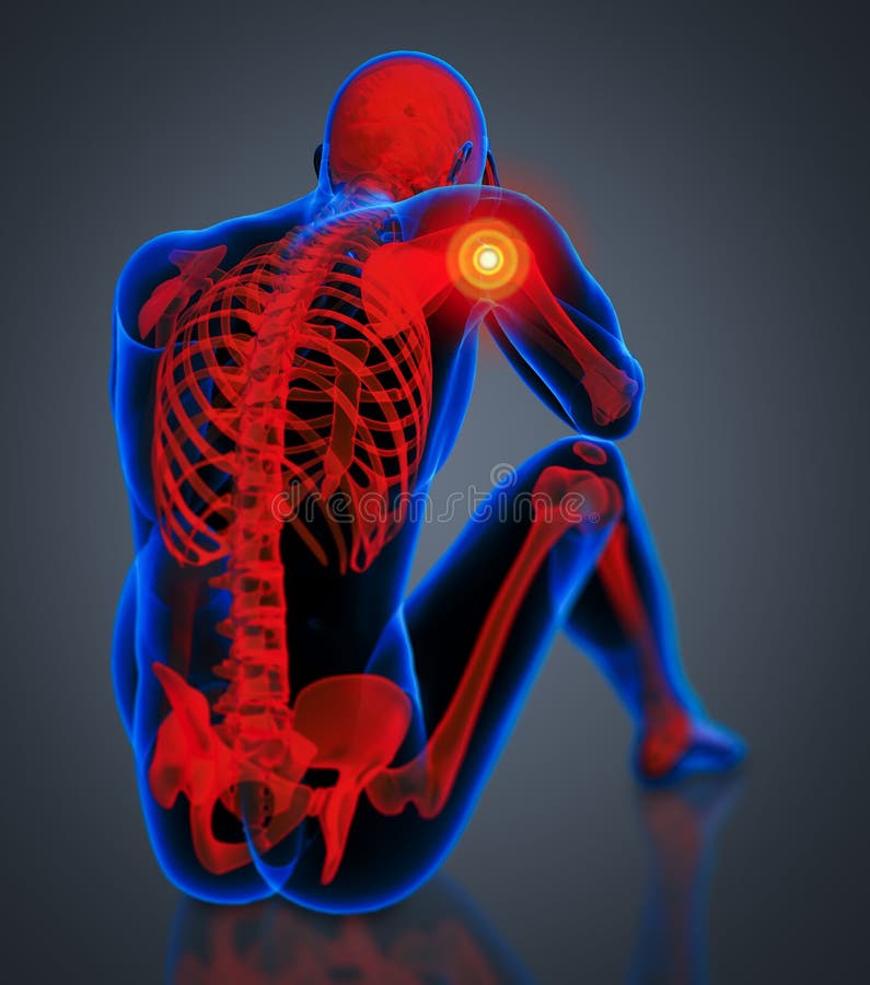 3D Rendering Illustration of Skeleton Bone Stock Illustration ...