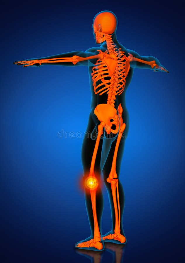 3D Rendering Illustration of Skeleton Stock Illustration - Illustration ...