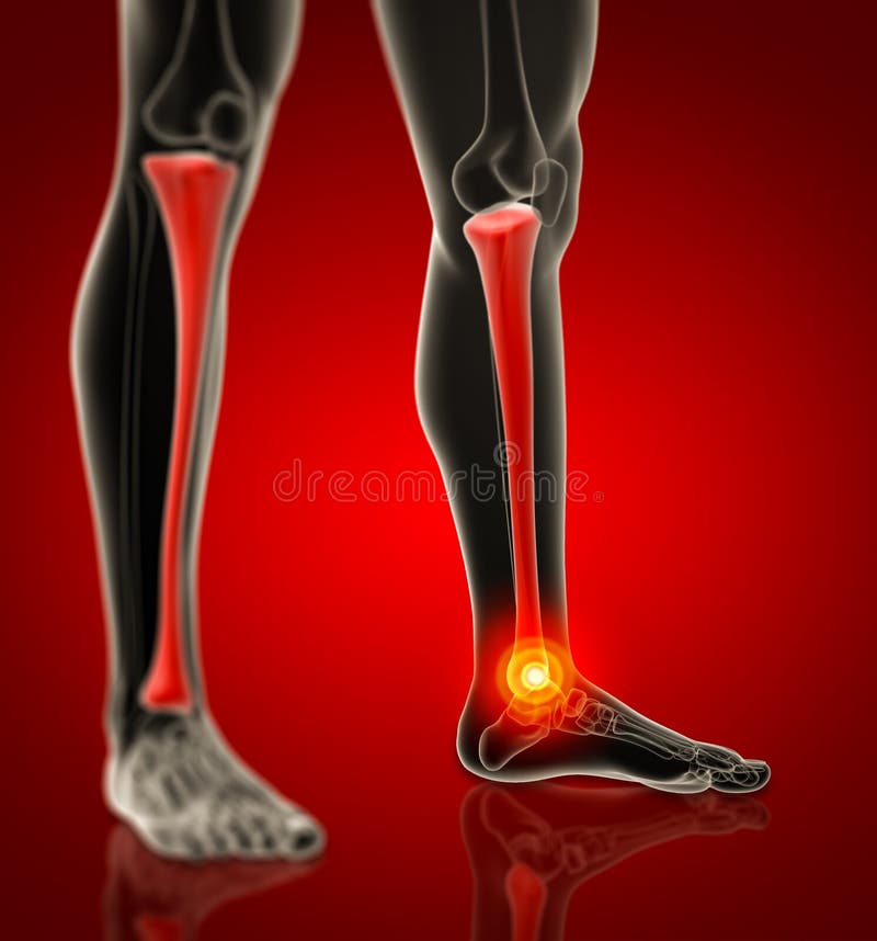 Tibia stock illustration. Illustration of medicine, foot - 82856416