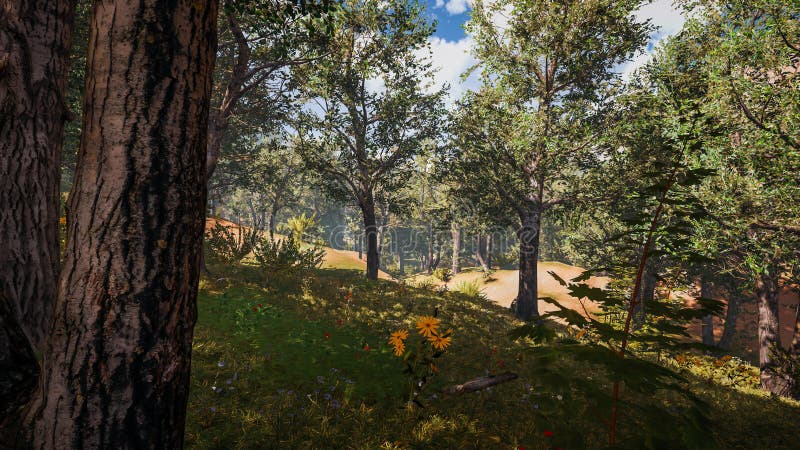 Landscape To Illustrate Sustainable Development Goals, and Ecosystem ...