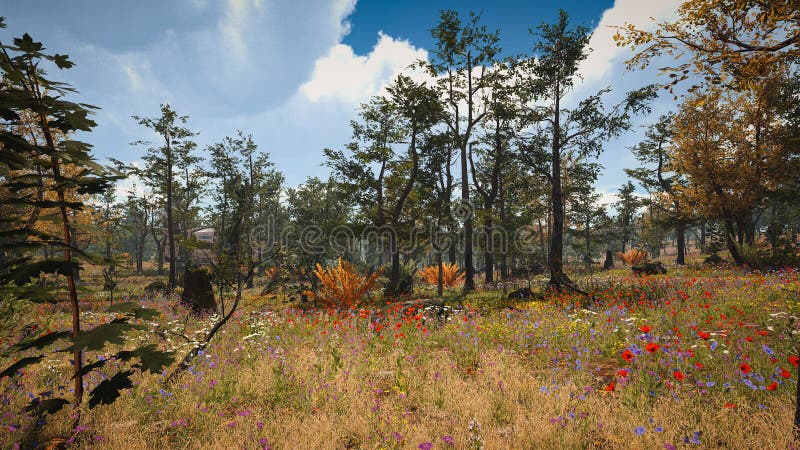 Landscape To Illustrate Sustainable Development Goals, and Ecosystem ...